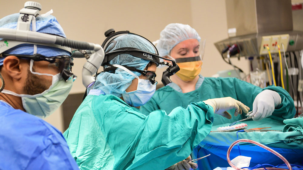 Breast Surgical Oncology Fellowship | Emory Department of Surgery ...